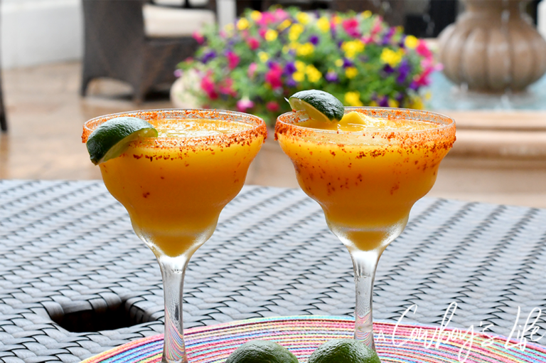 The Perfect Blender Margarita Recipe - A Cowboys Life