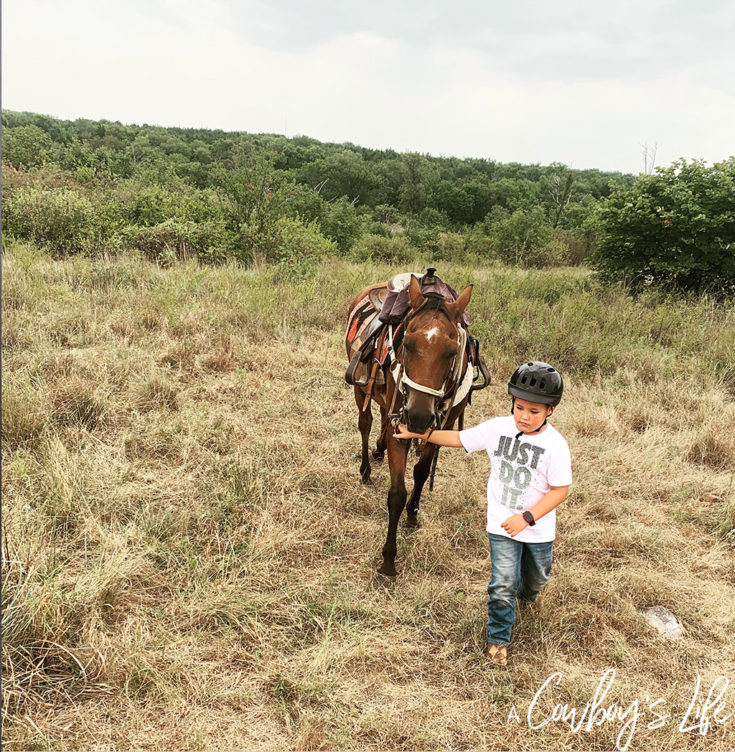 21 Places To Go Horseback Riding in Dallas - A Cowboys Life