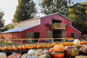 The Best Pumpkin Patches in Arkansas - A Cowboys Life
