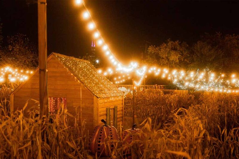 Can’t-Miss Fall Festivals in Texas (2025 Guide) - A Cowboys Life